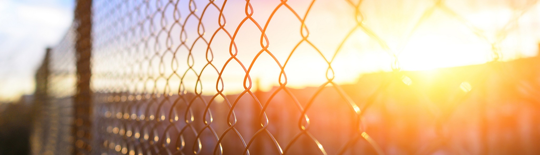 Chain Wire Fencing Repairs | Brisbane & Gold Coast | Apollo Fencing