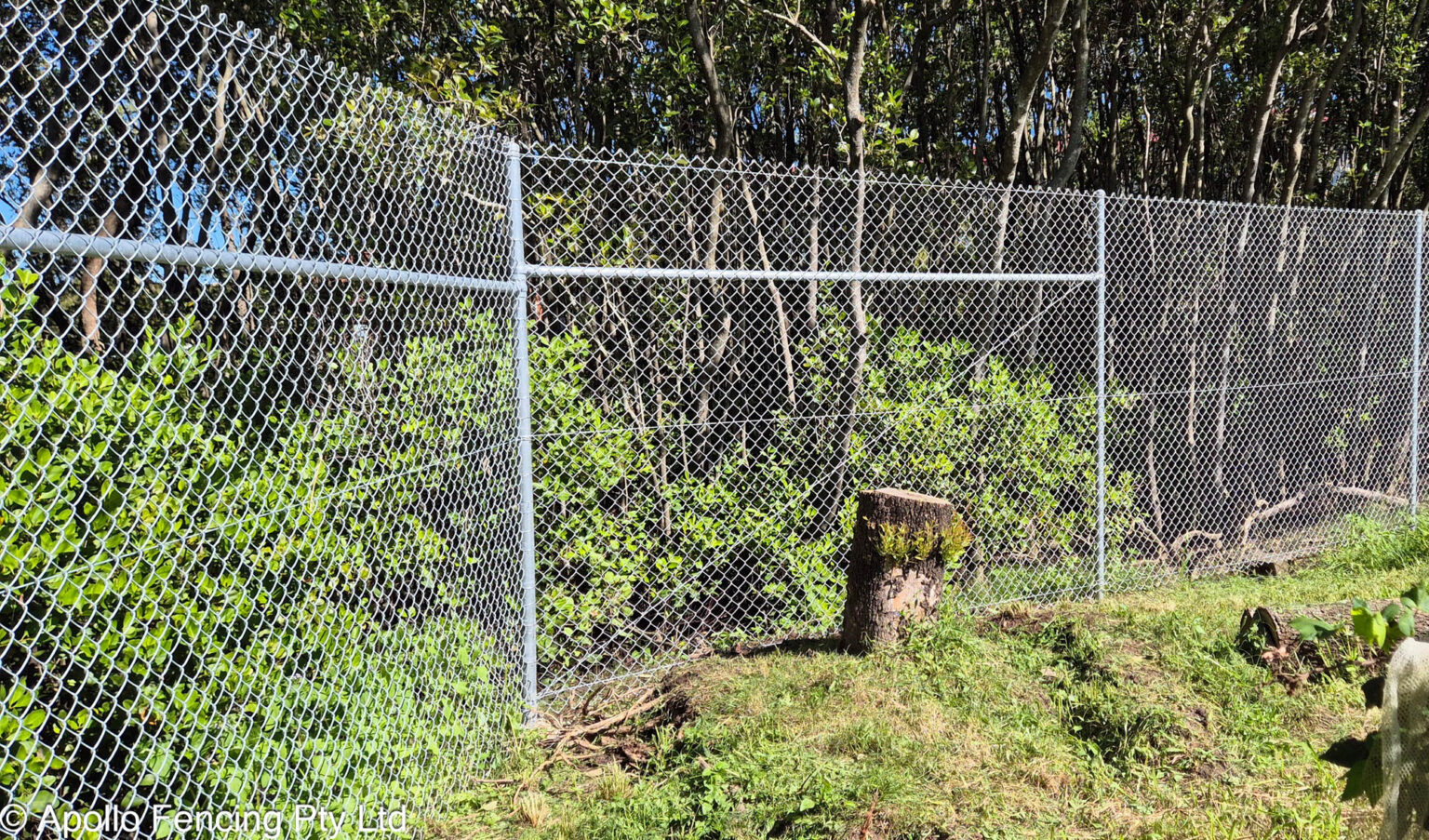 Apollo Fencing Project Updates | Brisbane & Gold Coast